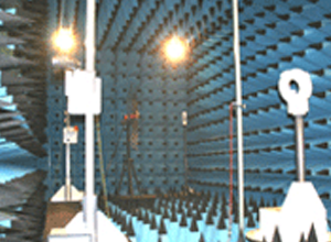 Electromagnetic Susceptibility(EMS) Test